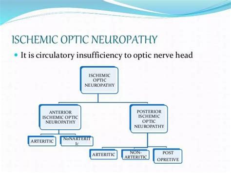 Optic Nerve And Its Disorders Pptx