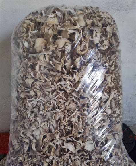 Dried Mushroom Packaging Bags At James Silvers Blog