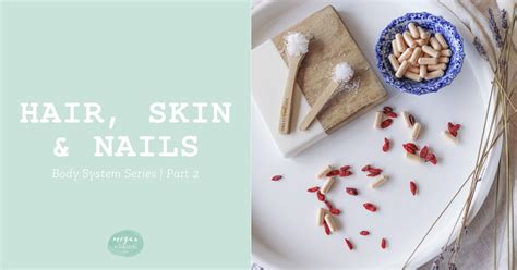 Hair Skin And Nails Inside The Integumentary System Body Systems