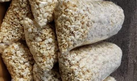 The Old Fashioned The Old Fashioned Kettle Corn Co