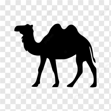 Camel Logo Template Vector Camel Logo Camel Clipart Camel Vector Png And Vector With