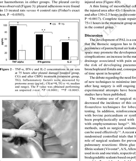 Presence Of A Pleural Adhesion On The Thoracotomy Download