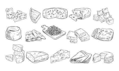 Premium Vector Cheese Handdrawn Collection
