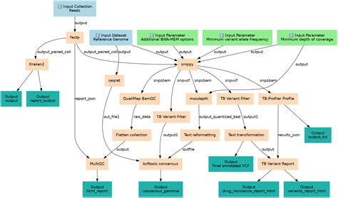 Tb Variant Analysis V10