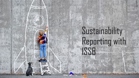 Navigating The Issb Implementation Journey A Personal And Professional