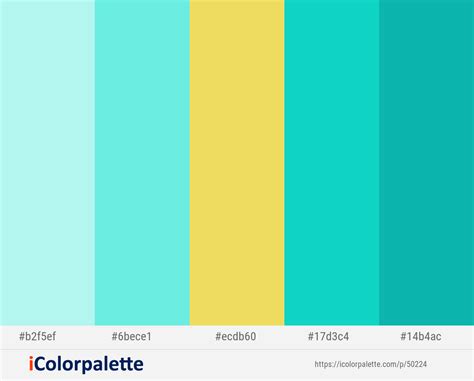 App Design Layout Design Turquoise Color Palette Booklet Layout