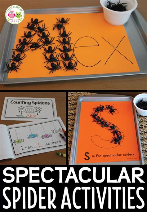 Spectacular Spider Activities Spidery Learning Activities Artofit