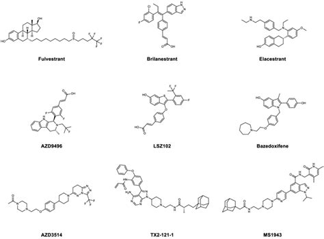 Hydrophobic Structure