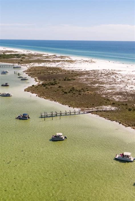 Shell Island Excursions Panama City Beach 60 Photos