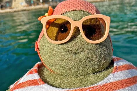 Tiny Chef Confirms Show Has Not Been Saved Amid Rumors Of A Return