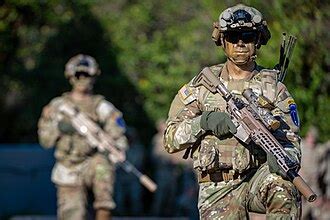 Sig Mcx Spear Wikipedia