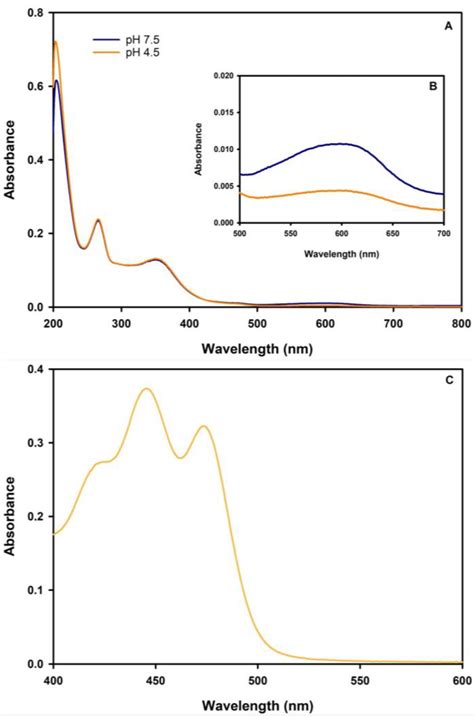 Antioxidant Activity Total Phenolic And Flavonoid Contents In Floral