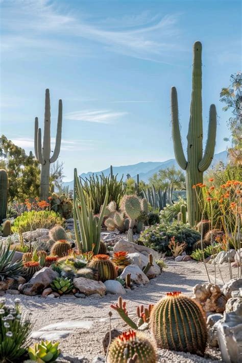 7 Essential Steps To Design The Perfect Cactus Garden Desert