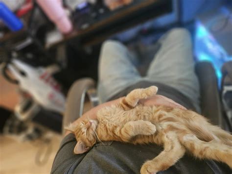 Dobranoc Album On Imgur