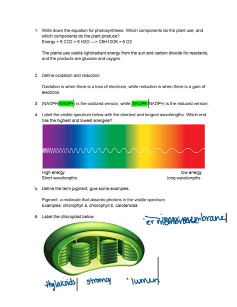 Equation For Photosynthesis Reactants And Products
