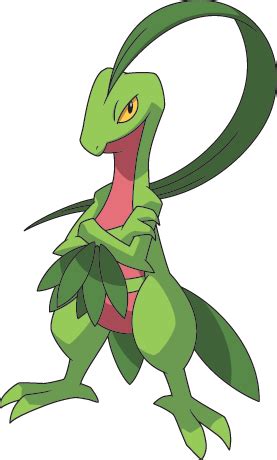 Grovyle Pokemon