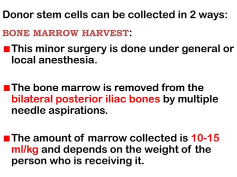 Bone Marrow Transplant Pdf