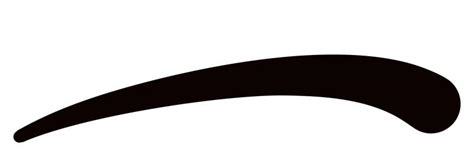 Abstract Wavy Thin Line Squiggle Elements Banner Vector Image