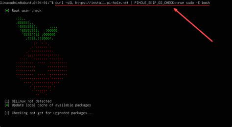 Install Pi Hole In Ubuntu 2404 Lts Virtualization Howto