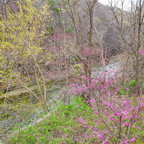 Augusta United Methodist Church Home Facebook