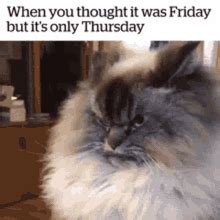 Thursday Almost Friday S Tenor
