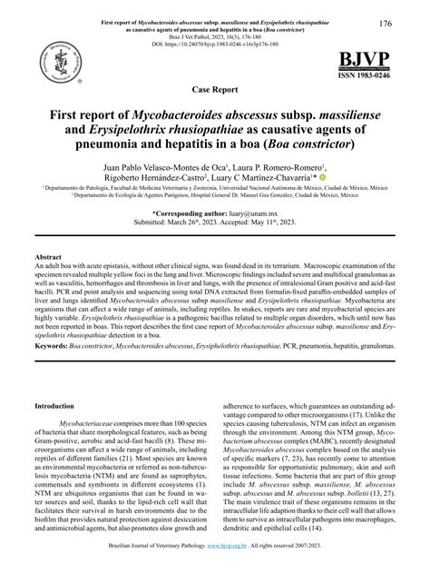 Pdf First Report Of Mycobacteroides Abscessus Subsp Massiliense And