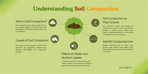 The Science Of Soil Compaction And Aeration Lawn Care Lab