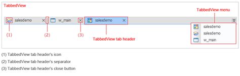 Displaying Sheets In Tabbed View Application Techniques