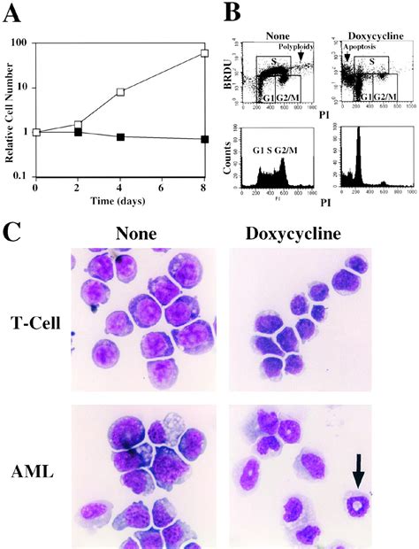 Reversible Tumorigenesis By Myc In Hematopoietic Lineages Molecular Cell