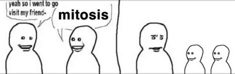 What Do You Think Little Timmys Fate Would Be If He Thought G Man Was From Garrys Mod R