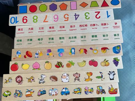 Knowledge Classification Box Transportation Animal Hobbies And Toys