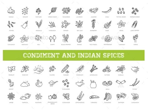 Indian Spices Vectors Graphicriver