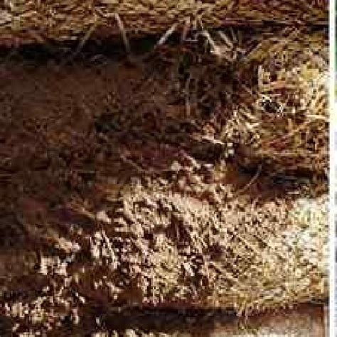 Straw Log Construction Left Wattle Mesh Center Stuffing Straw In Download Scientific Diagram