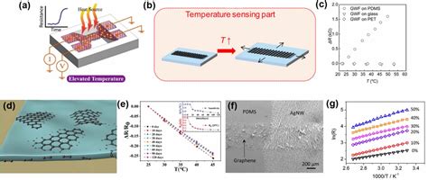 Flexible Temperature Sensors Based On Two Dimensional Materials For