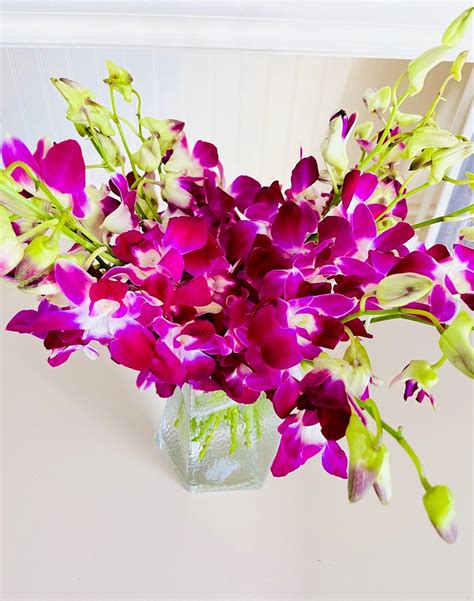 Jennifer Reiswitz On Linkedin Lemonadeinsurance Appreciation