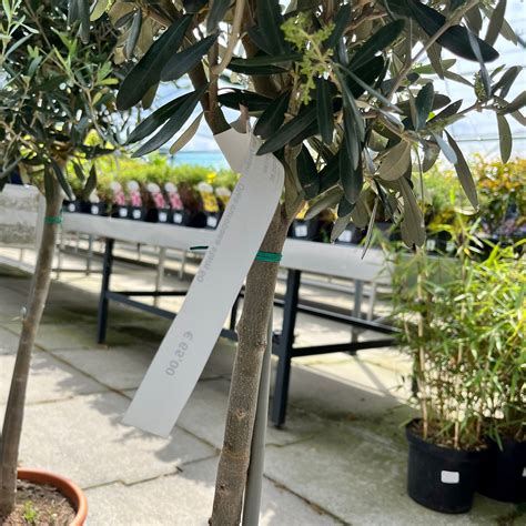 Stika Labels Koop Je Kunststoflabels Rechtstreeks Bij De Makers