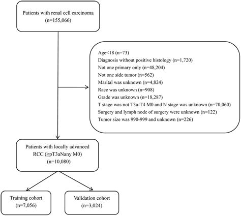 development and validation of a nomogram for predicting the impact of