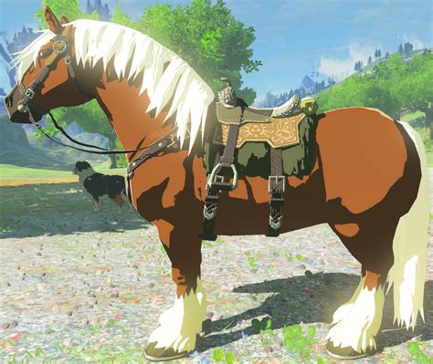 Epona Gear Zelda Wiki