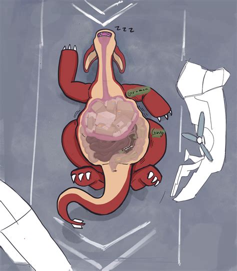 Rule 34 Ambiguous Gender Box Claws Container Endoscopebrain Feral Feral Pred Hi Res Lying