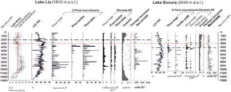 summary diagram showing selected proxy records from lake lia and lake