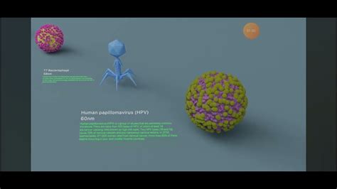 Virus Size Comparison Youtube