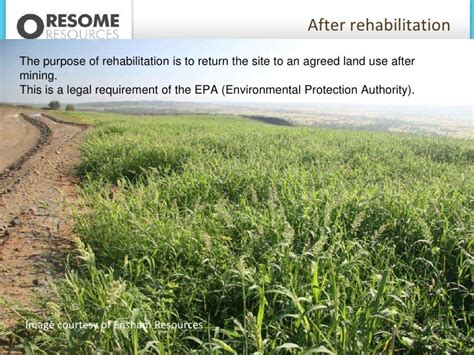 Mining Rehabilitation