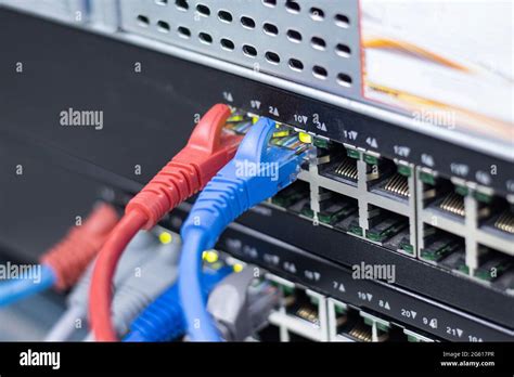 The Network Cables To Connect The Port Of A Switch To Connect Internet Network Concept