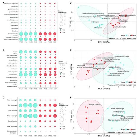 Composition And Structure Of The Functional Groups In Microbial
