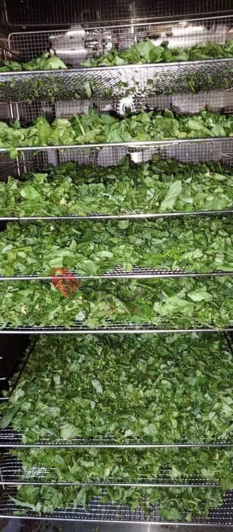 Different Leaves Drying Process