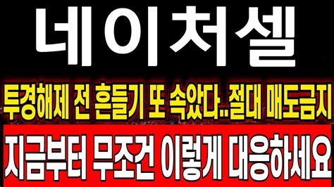 네이처셀 주가전망 중요 투경해제 전 변동성을 주는 진짜 이유 11월 터질 폭등재료 드디어 꺼낸다 절대 속지마세요 네이처셀 네이처셀주가전망 Youtube