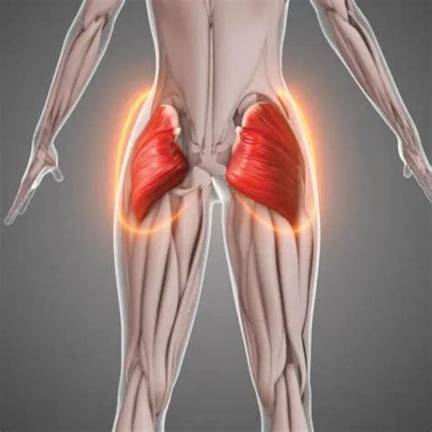 Glute Strain Carespace Healthwellness