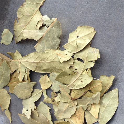 大香叶香叶香料香叶大山谷图库