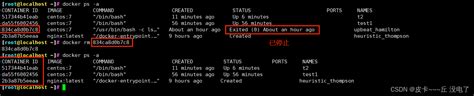 docker容器 csdn博客