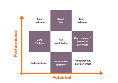 9 Box Assessment Template Map Talent Potential Pointerpro